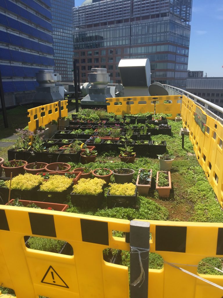 BPC: DID YOU KNOW? | GREEN LIVING AT THE SOLAIRE - BATTERY PARK CITY ...