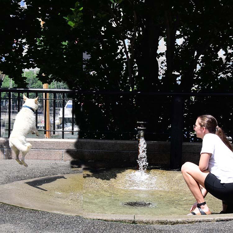 BPC PARKS HAPPENINGS: NOVEMBER 2021 - BATTERY PARK CITY AUTHORITY